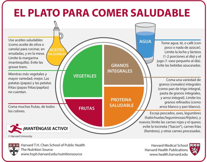Hàbit saludable :: Steamxhealth-montpedros